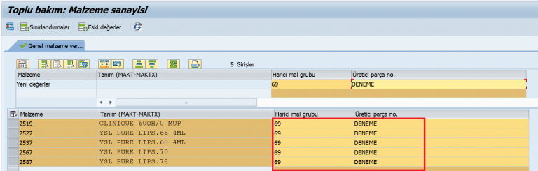 SAP MM17 MASS Ekranı ile Toplu Malzeme Ana Veri Güncellemesi